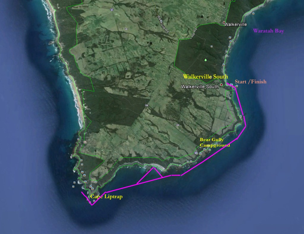 Cape Liptrap Paddle | Greg Young